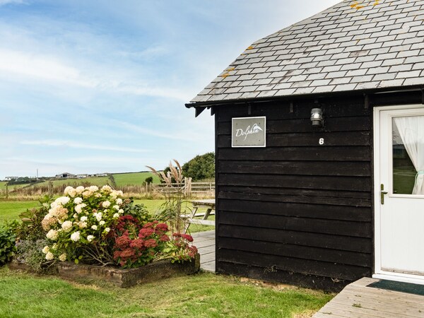 Dolphin Lodge, Pet Friendly, Country Holiday Cottage In Port Isaac - Port Isaac