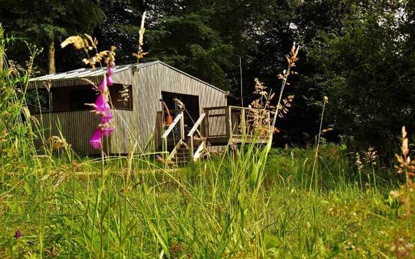 Bungalow (4/5 Peoples) - Normandie
