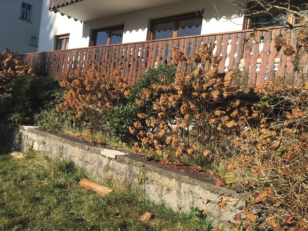 Gerardmer (Xonrupt Longemer) 4 Pers Bel Appart 95 M2 Dans Chalet (Proche Lac) - Corcieux