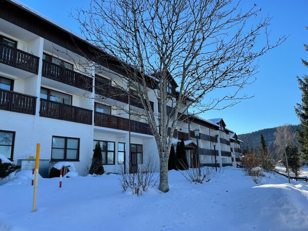 Renovated 1-room Apartment - Wengen