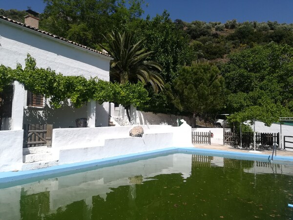 Finca Rústica La Pájara - Beas de Segura