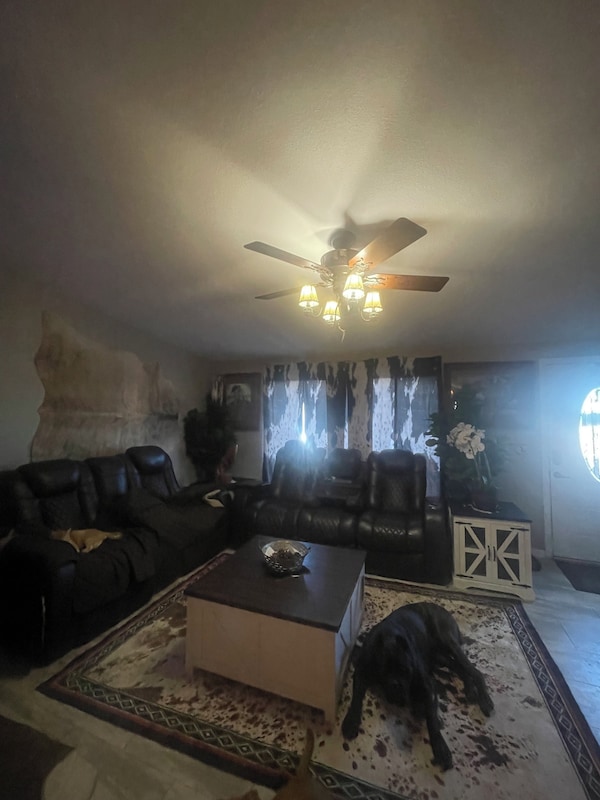 3 Bedroom 1 Bath House  On 3 Acres With Corrals, Round Pen And Warm Up Arena - Oracle State Park, Oracle