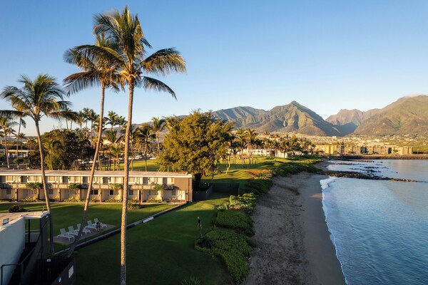 Right On The Water! 4 Great Units, Pets Allowed, Steps To Hoaloha Park Beach! - Maui, HI