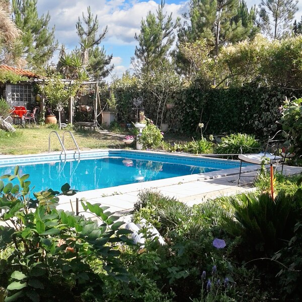 Homerez - Estudio Cómodo En Nazaré Con Piscina Compartida - 30 M² - Nazaré