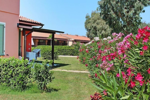 Apartment In Tuscany Near Beaches & Nature - Cecina