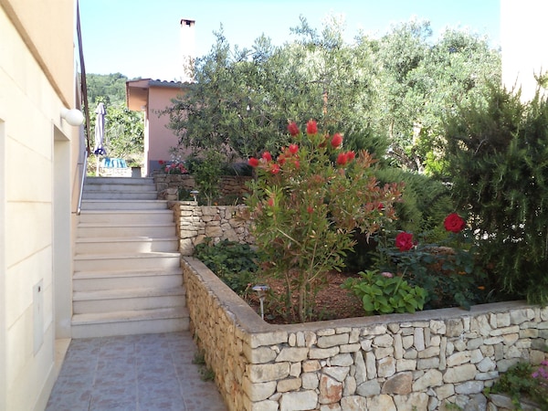 Apartment Ana (18341-a1) - Kali - Zadar