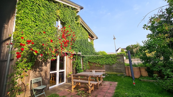 Grünes Sundchalet - Ferienhaus - Stralsund