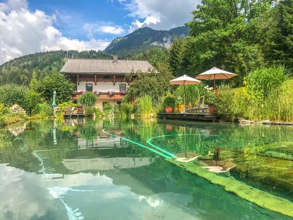 Hauser Kaibling - 3 Bedrooms, 3 Bathrooms - Rapplhof - 上特勞恩