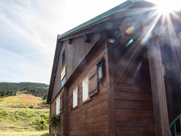 Zettlerhütte - Ferienhaus/1 Schlafraum/ Dusche, Wc - Planneralm