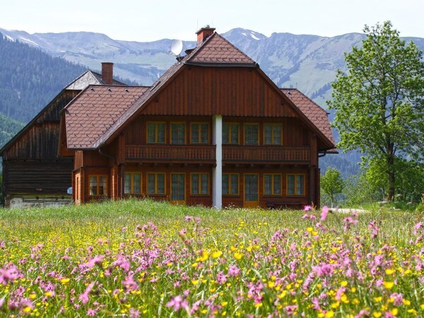 Ferienwohnung 2 Waldfreude - Schaffergut Appartements - Planneralm