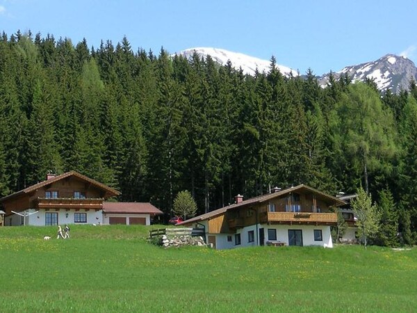 Apartment - Hoher Dachstein