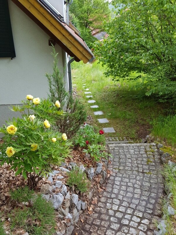 Vacation Apartment/apartment For 2 Guests With 30m² In Thale (168163) - Thale