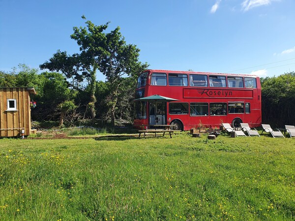 Dartmoor Double Decker Bus On An Alpaca Farm Sleeps 8 - Devon