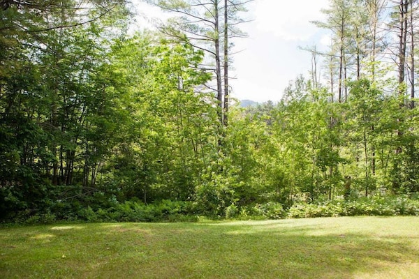 Official Seasons  Rmc Condo 16a - 2 Bedrooms - Sleeps 7 - No Fees - Carousel, Intervale