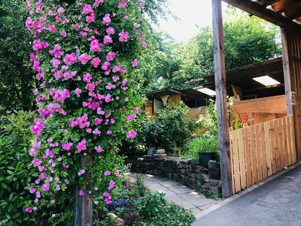 Gite Du Ried, Hébergement Au Calme Entouré De Verdure. - Bischwiller