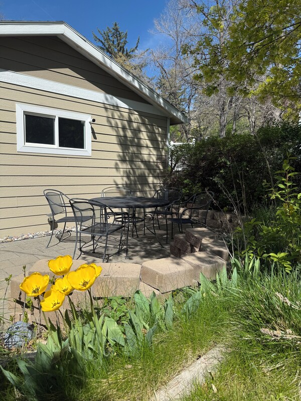 Newly Renovated 3br Oasis - Close To Dining + Private Backyard Fire Pit - Lake Elmo State Park, Billings