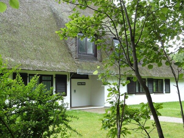 Ferienwohnung Gröde 11 - Westerhever