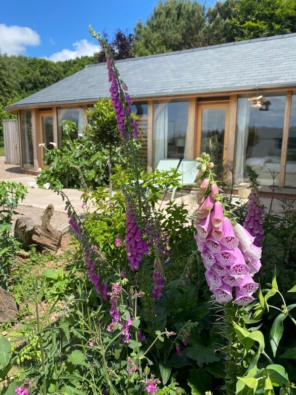 Luxury Detached Bungalow With Open Countryside Views - Sidmouth