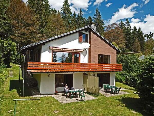Vacation Apartment/apartment For 4 Guests With 42m² In Feldberg (Black Forest) (168190) - Feldberg