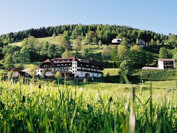 Wald-einzelzimmer Mit Dusche Od. Bad,wc - Hotel-restaurant Stigenwirth - Tamsweg