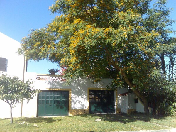 Appartement-salle D'eau-terrasse - Vila Nova de Milfontes