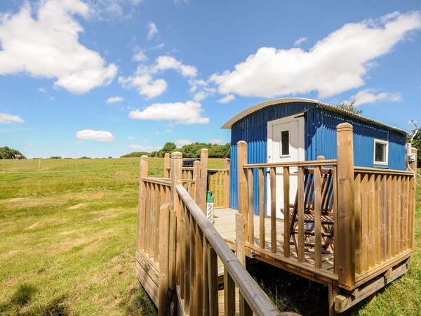 Shepherds Hut, Pet Friendly, Country Holiday Cottage In Lostwithiel - Polperro