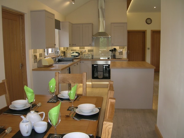 Woodland Lodge - A Five Star Luxury Lodge With Hot Tub Under Cover. - Builth Wells