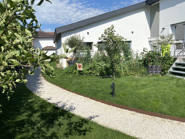 Gîte-komfort-ensuite-terrasse-vignobles Et Découvertes - Elsass