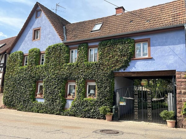 Doppelzimmer - Schönbachhof - Bad Bergzabern