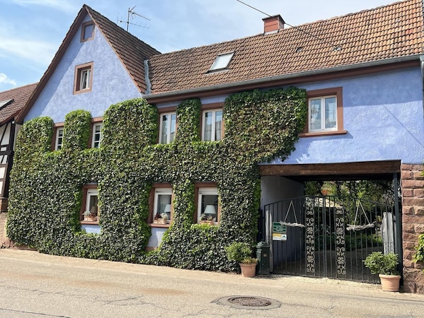 Doppelzimmer - Schönbachhof - Bad Bergzabern