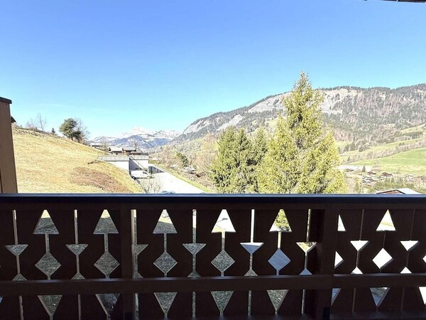 1st Floor, Balcony, Parking, Tv, Ski Locker, 28m², Praz Sur Arly - Praz-sur-Arly