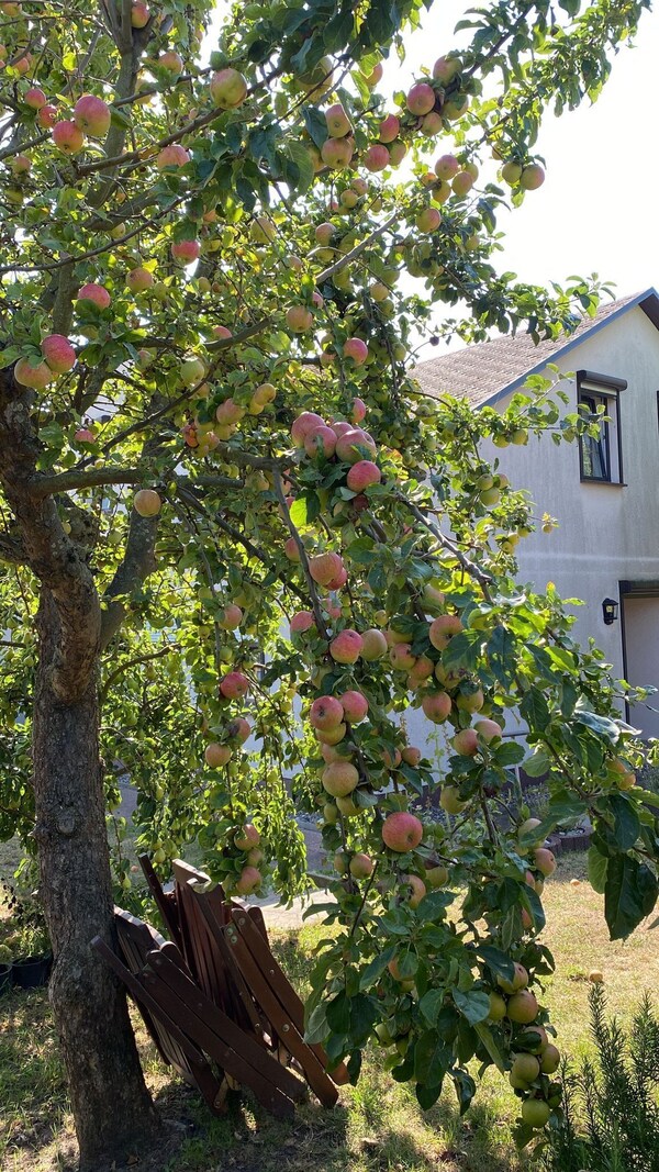 Ferienwohnung "Zander" - Thiessow