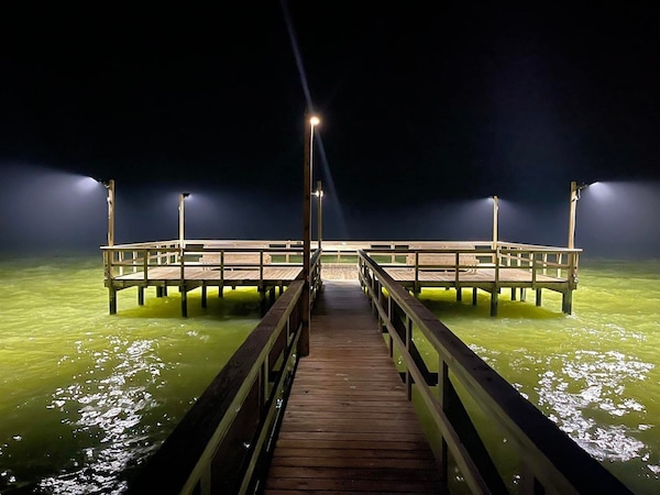 Golden Gull | Million Dollar Views & Bay Breezes - Goose Island State Park, Rockport