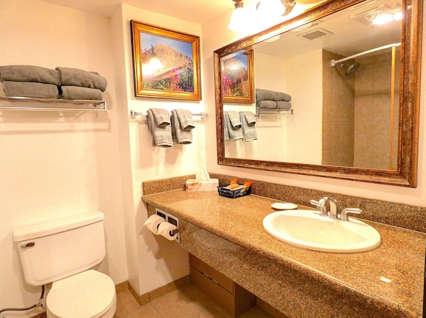 ⭐️New Listing ⭐️ Pets Ok Crested Butte Base Free Wifi + Hot Tub - Crested Butte, CO