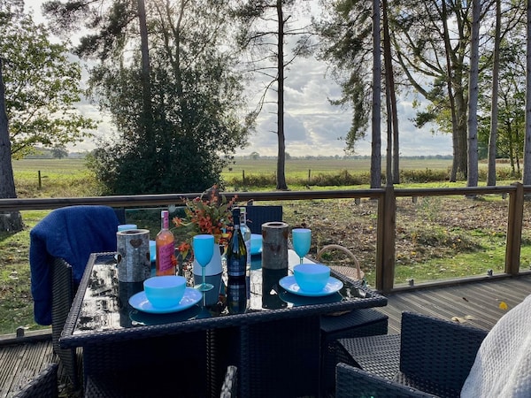 Pinewood Lodge - Luxury Lodge With Hot Tub - Selby