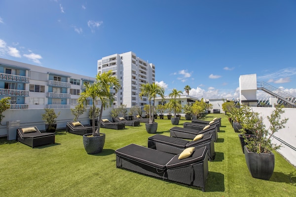 An Undeniable Jewel In Location! Kitchen, Pets Allowed, Near Fisher Island Beach - Miami, FL