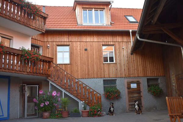 Vacation Apartment 1 - Ferienbauernhof Brandt - Darmstadt