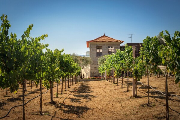 Quinta Do Aido - Winetourism - Castelo de Paiva