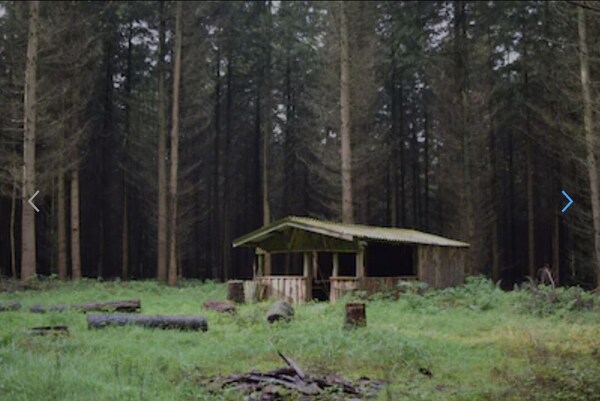 Vacation Home In A Quiet Location, 200m From The Nature Reserve Lake, Mönchshof 13b, With Wlan - Wittstock/Dosse