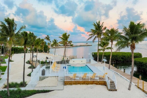 Swim With Dolphins In The Florida Keys! Free Breakfast & Parking, Marina, Pool! - Florida Keys