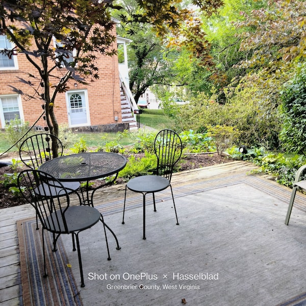 Large But Cozy Apartment, In A Private Setting. Walking Distance To Town. - Lewisburg, WV