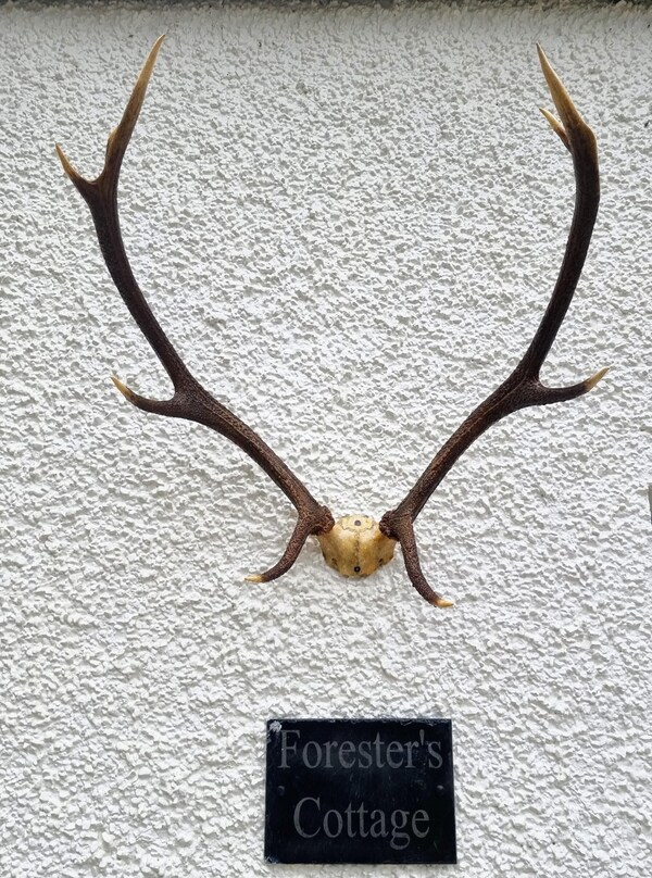 Foresters Cottage -Private Garden - Mallaig