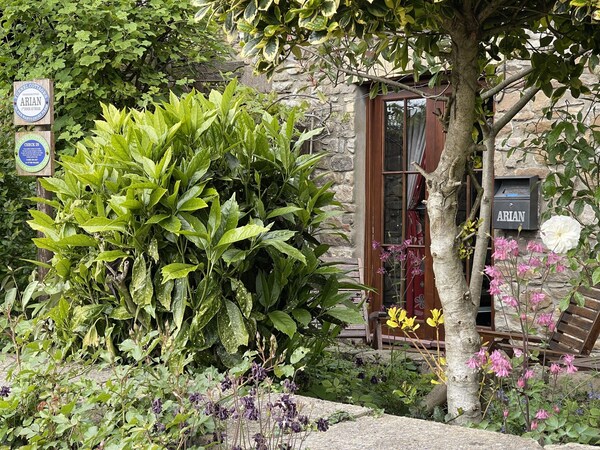 Arian, Our One Bedroom Cottage - South Wales