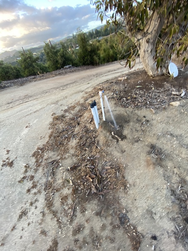 Camping In The Avocados With Mountain River Views - Temecula, CA