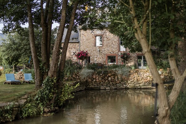 Suite Des Bergeronnettes - Mayenne