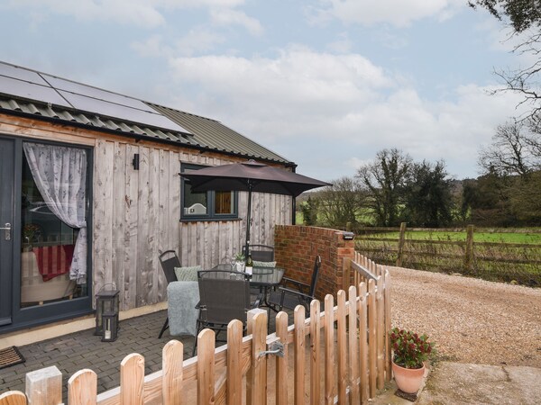 Sunnyside At Coomb Bank Farm, Pet Friendly In Raymond's Hill - デボン