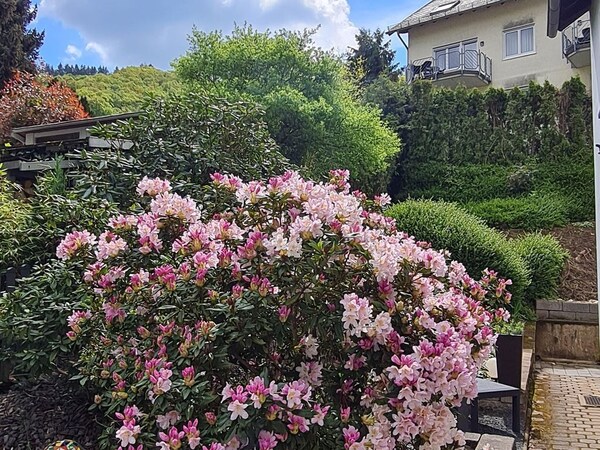 Apartment Mit 2 Schlafzimmern Und Balkon - Ferienhaus Am Reilsbach - Bruttig-Fankel