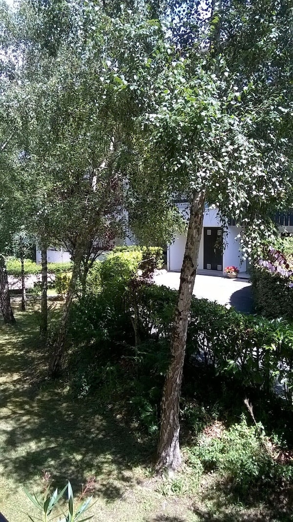 Petit Nid - Talmont-sur-Gironde