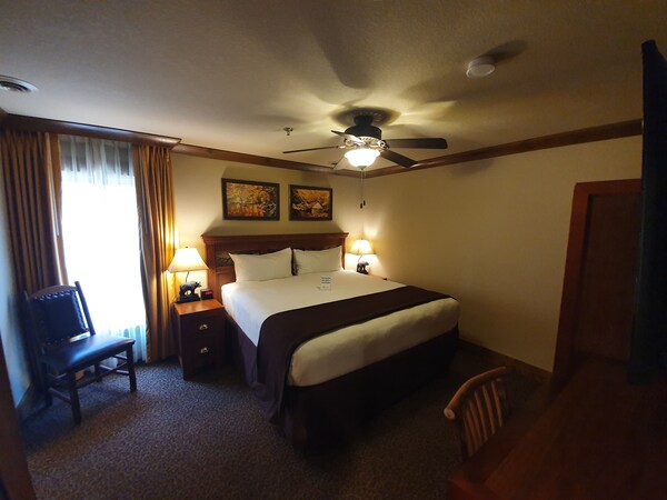 1 Bedroom Mountain Suite! - 加特林堡