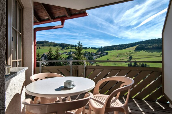Ferienwohnung/app. Für 4 Gäste Mit 40m² In Todtnau- Todtnauberg - Todtnau